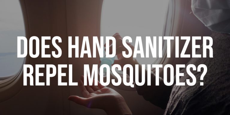 Does Hand Sanitizer Repel Mosquitoes? - BestConsumerReviews